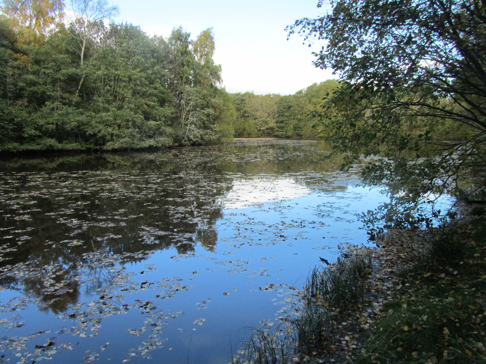 Cullicudden_Quarry_Findon_Quarry_Quarriers_Urquhart_Munro_Forbes_Morrison