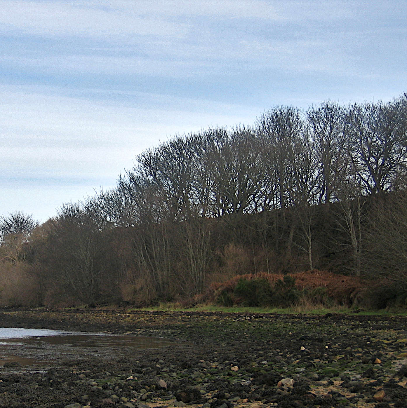 Cullicudden_Quarry_Findon_Quarry_Quarriers_Urquhart_Munro_Forbes_Morrison